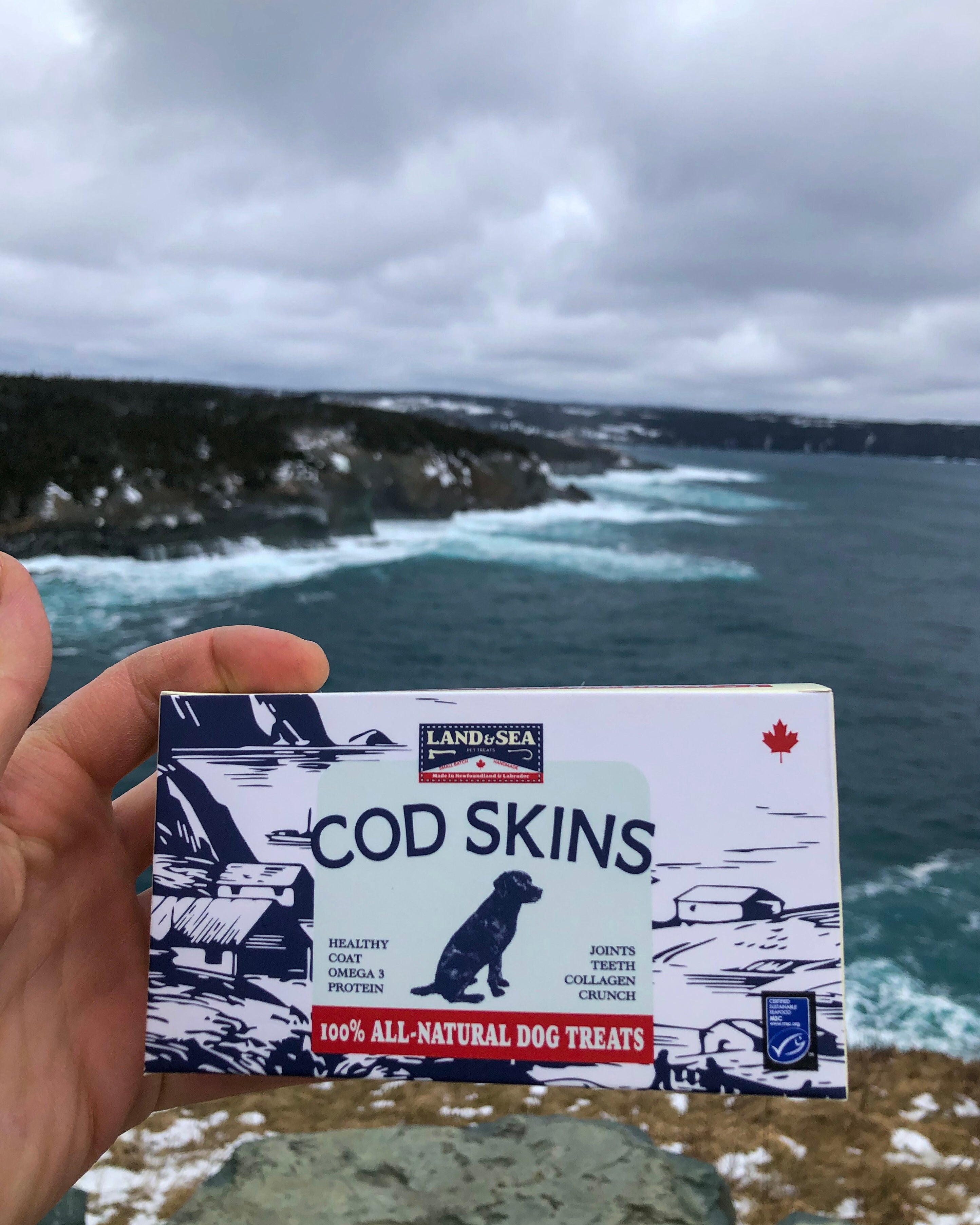 About Us – Land & Sea Pets Inc.